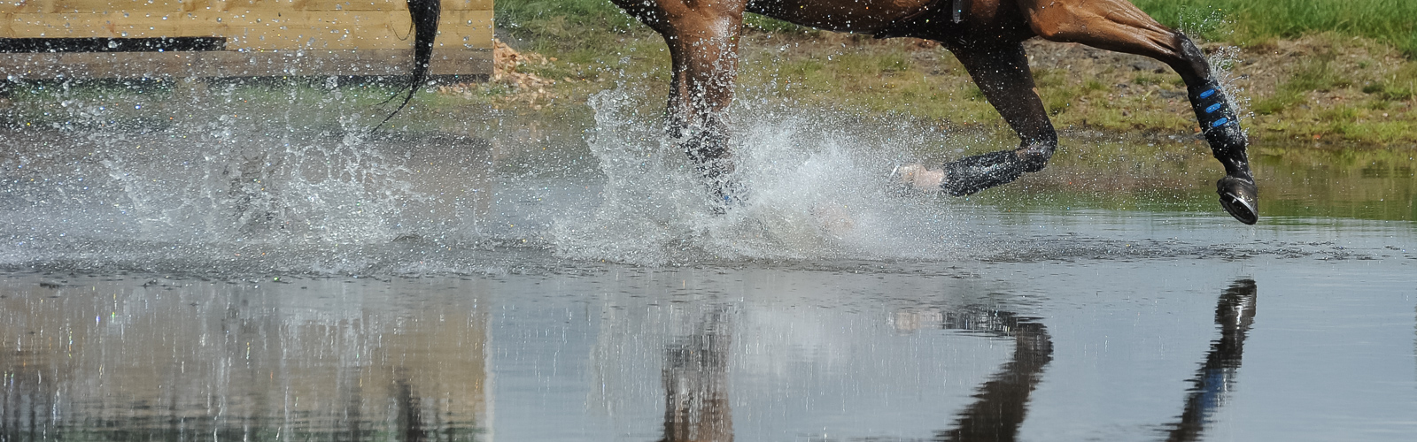 Buckminster Park | Event Guide | The Gaitpost