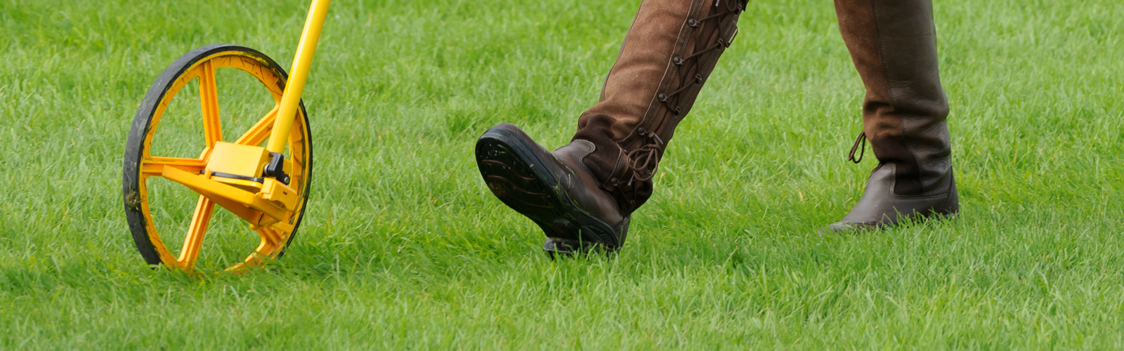 Bicton Arena 2 | Event Guide | The Gaitpost