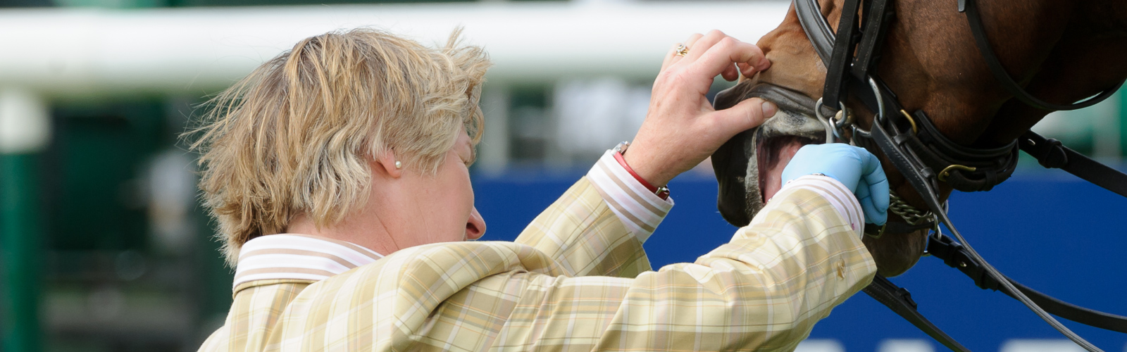 Bicton Arena International 1 | Event Guide | The Gaitpost