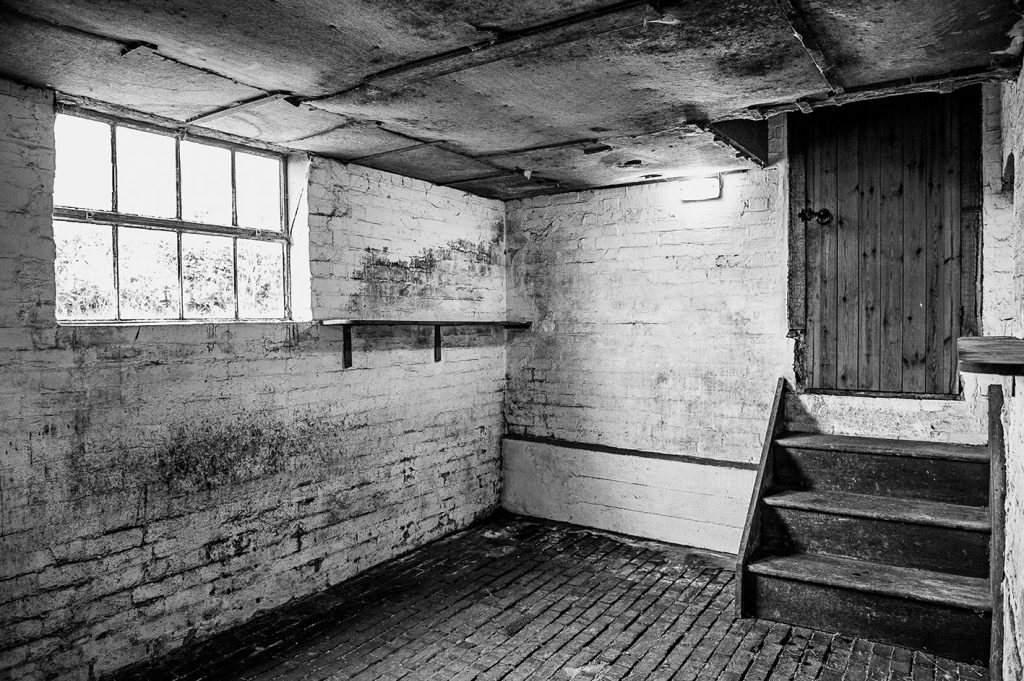 Top Tips for a Healthy Stable Environment | The Gaitpost