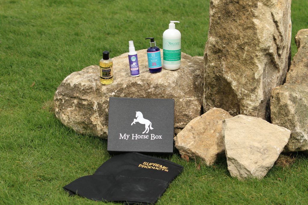 My Horse Box to start raising money for equine charity | The Gaitpost