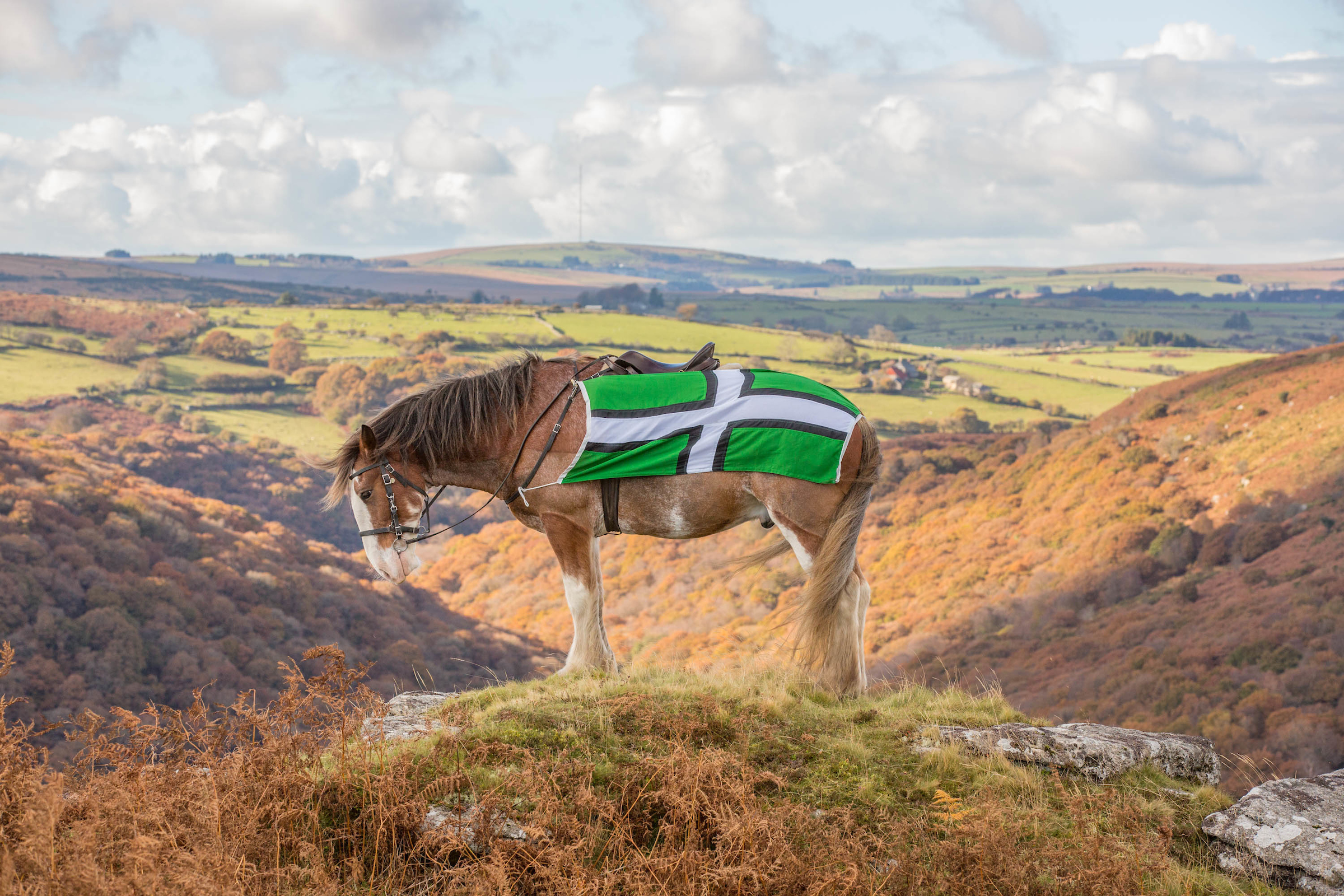 Racing Clydesdales return at Exeter on Devon Day | The Gaitpost