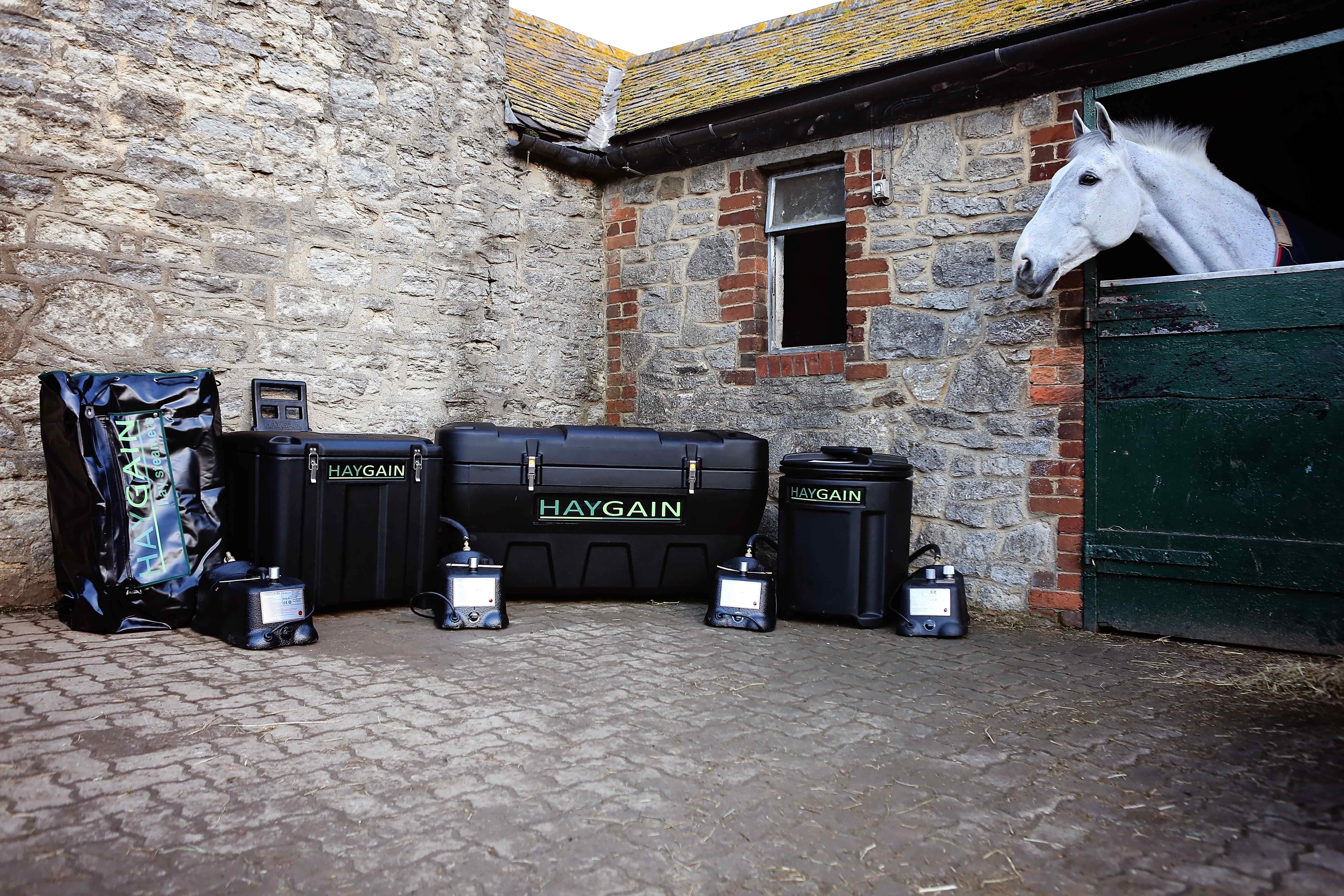 Steamed hay for peak equine athletic performance | The Gaitpost