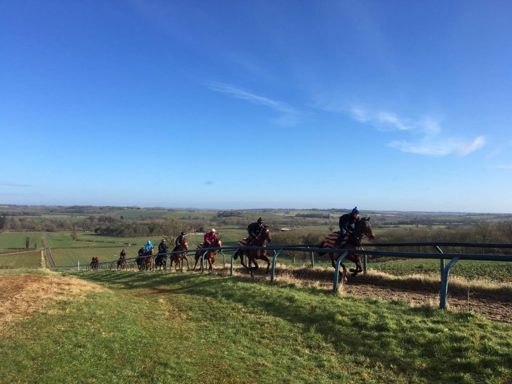 Opinion: Vanessa Ryle Part 2 | Racing | The Gaitpost