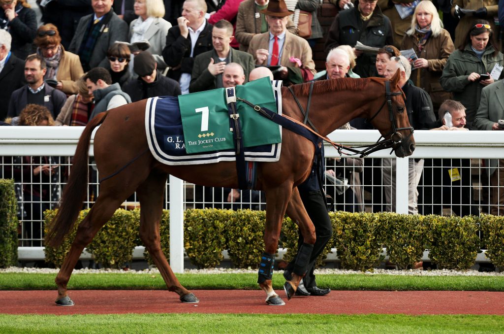 Interview with Oli Bell | Cheltenham Festival | The Gaitpost