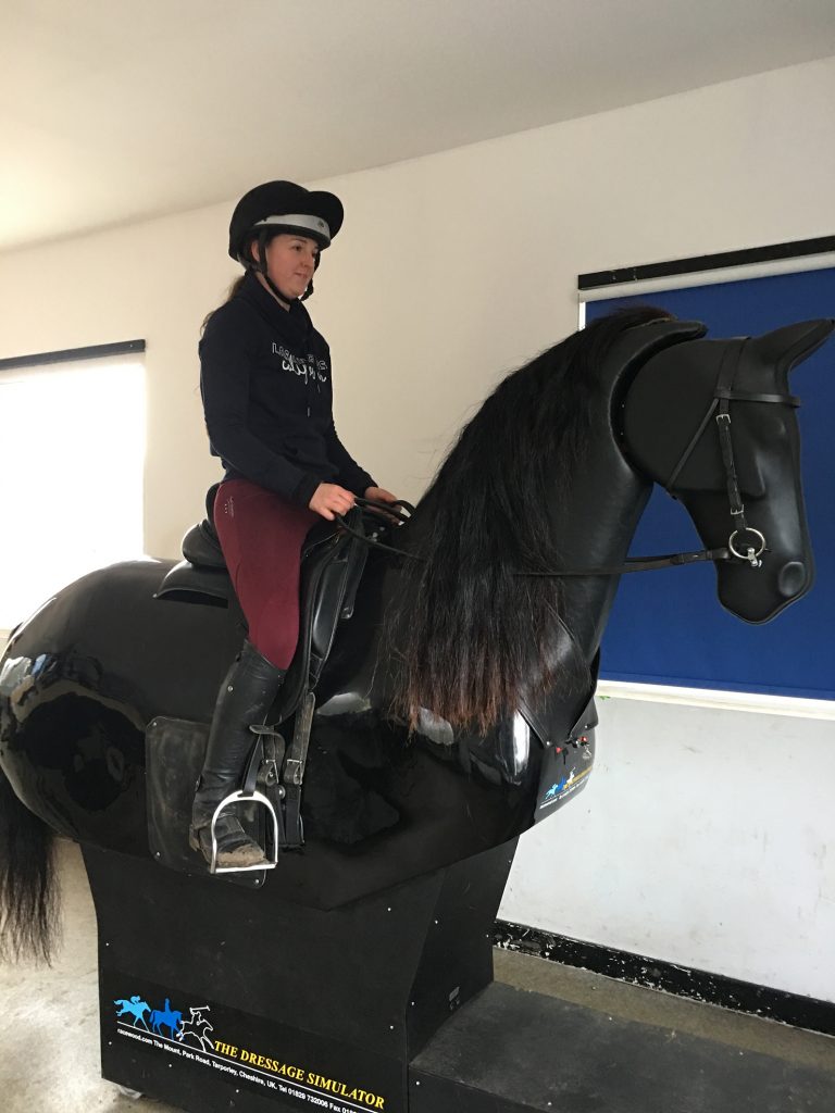 Mr Williams – The Perfect Horse | Charity | The Gaitpost