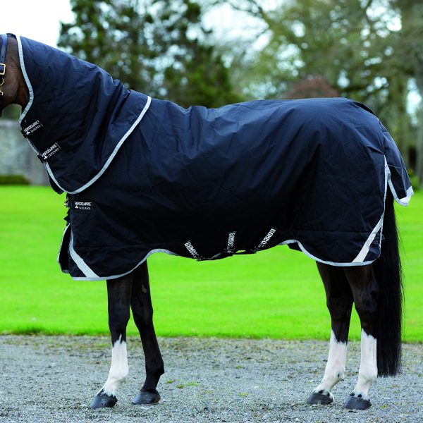 Nichola Eddery | The Arts | The Gaitpost