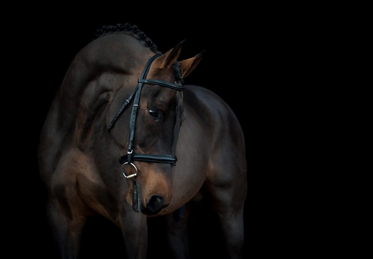 An Evening at Bolesworth with the Legendary Ramiro B | The Gaitpost