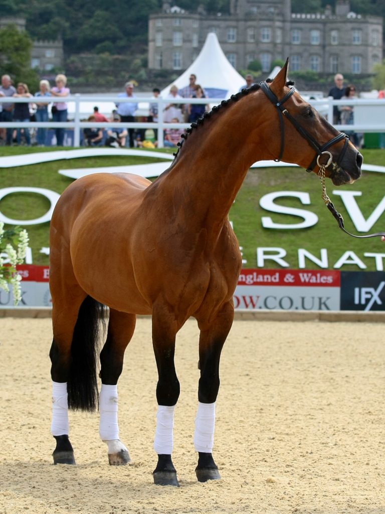 10 Thing’s You Didn’t Know About Ramiro B’s Progeny | The Gaitpost