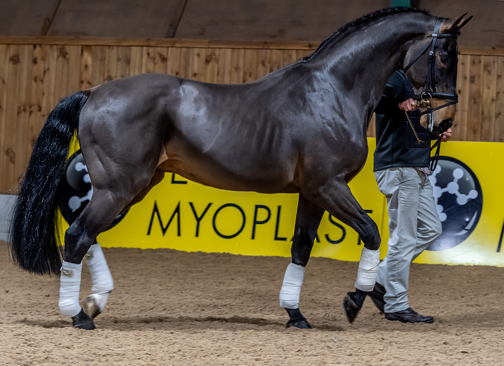 A fantastic evening with the legendary Ramiro B | The Gaitpost