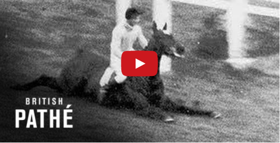 Memorable Grand National Moments | The Gaitpost