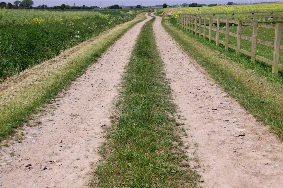 Riding on Hard Ground | Features | The Gaitpost