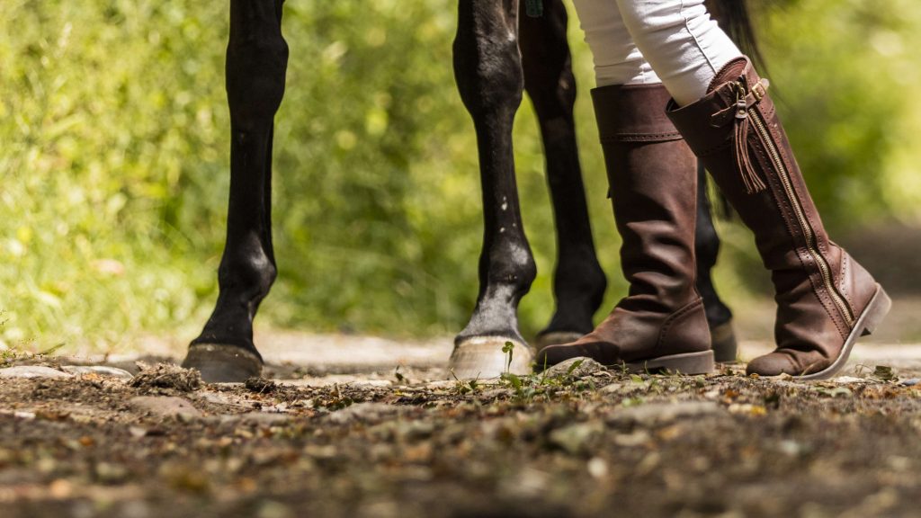Different Types of Martingale | Features | The Gaitpost
